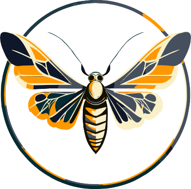 about - kaso creates